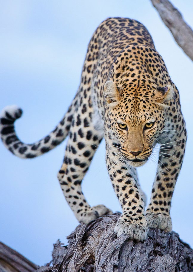 Photo Gallery - Safaris, Worlshops & Locations